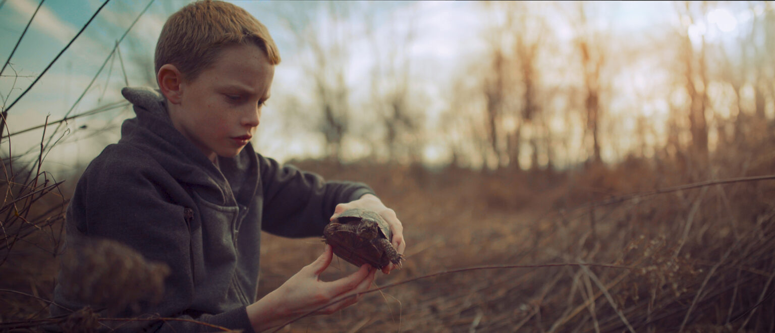 The Conservation Game | a Michael Webber film
