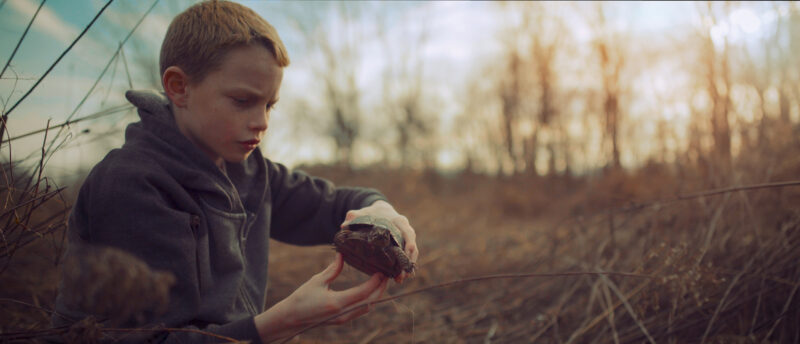 The Conservation Game | a Michael Webber film